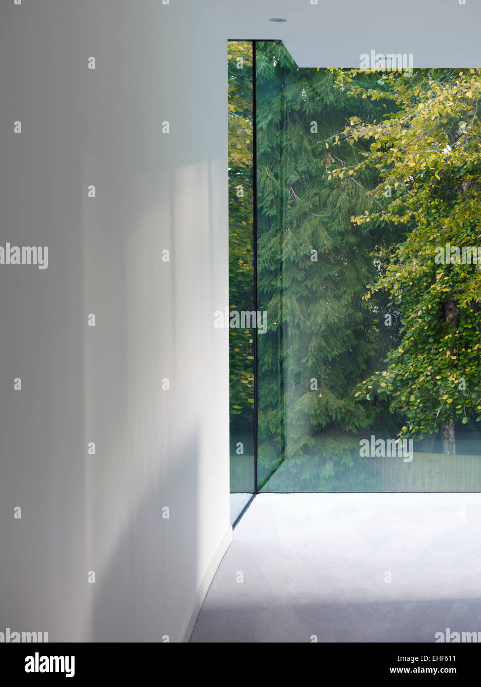 Floor to ceiling windows with view of green trees in Cherry Orchard ...