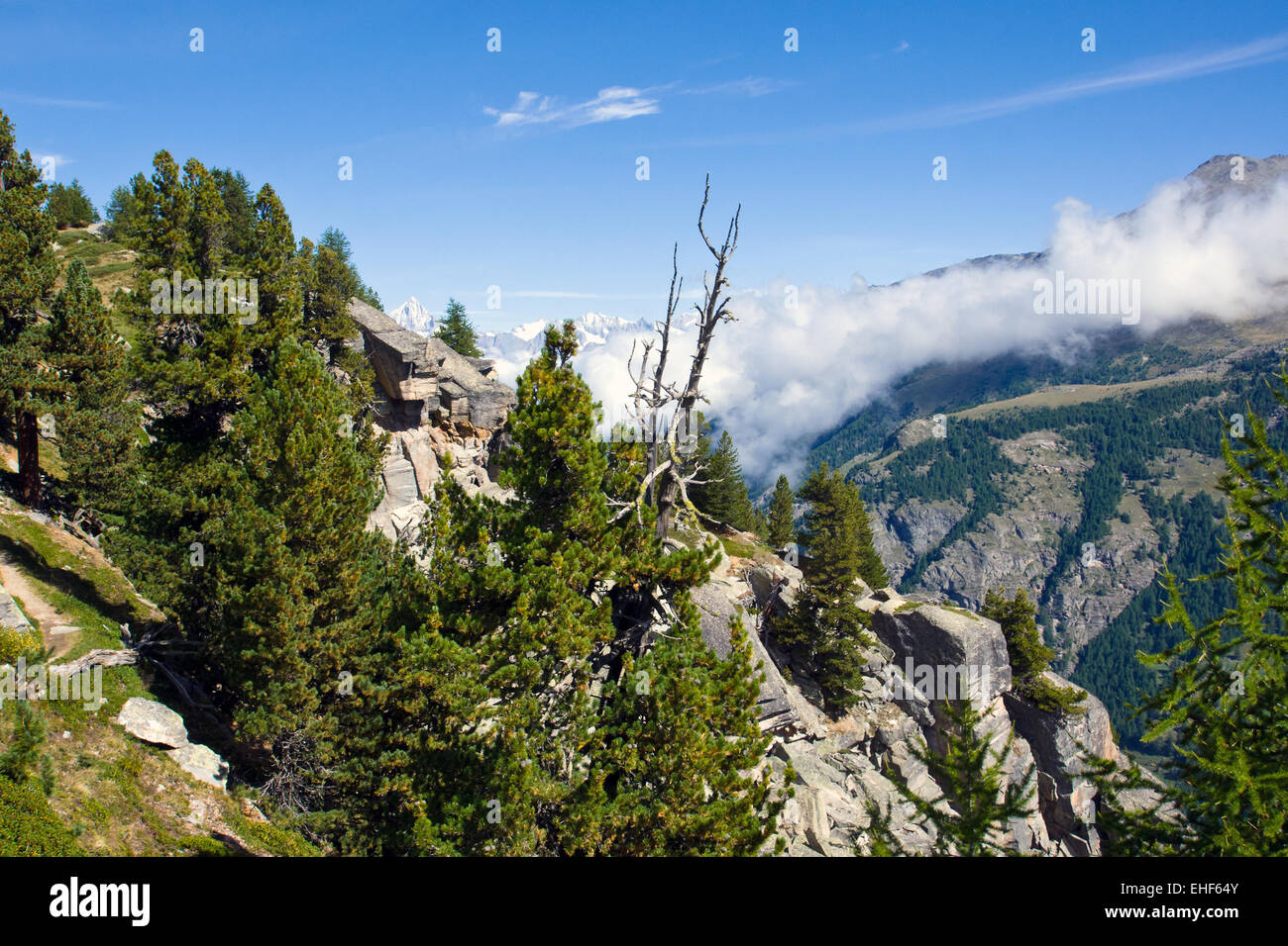 Swiss alps scenery hi-res stock photography and images - Alamy
