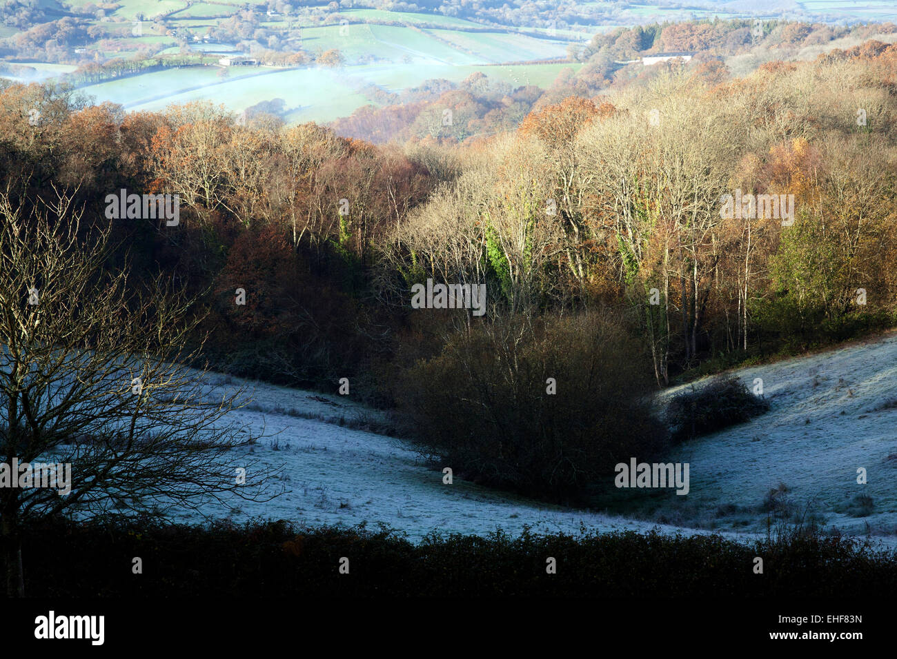 Exeter uk winter hi-res stock photography and images - Alamy