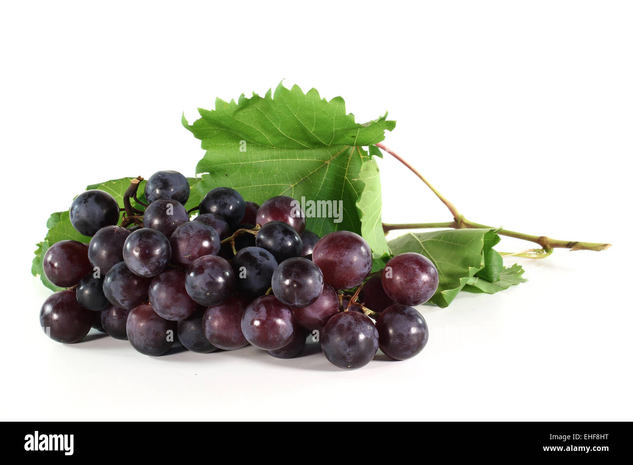 Weintrauben herbst Cut Out Stock Images & Pictures - Alamy