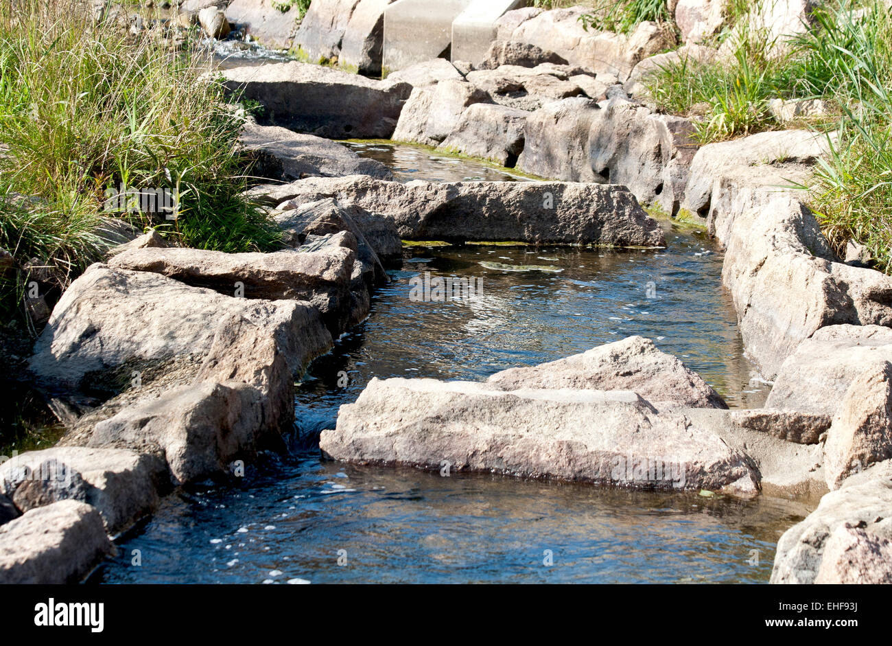Trout Ladder Stock Photos & Trout Ladder Stock Images - Alamy