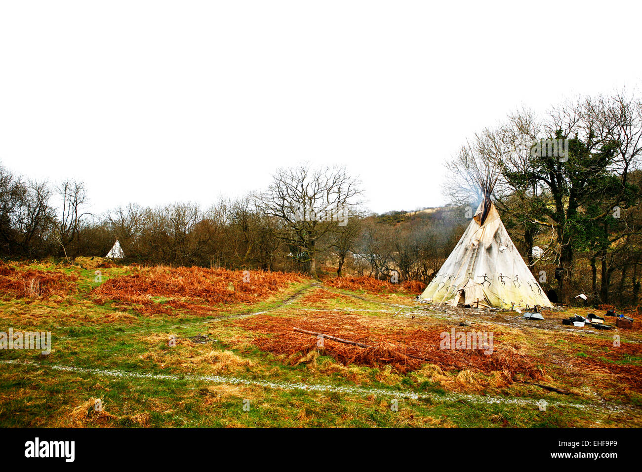 A tipi at Tipi Valley an eco community near Talley in Wales Stock Photo ...