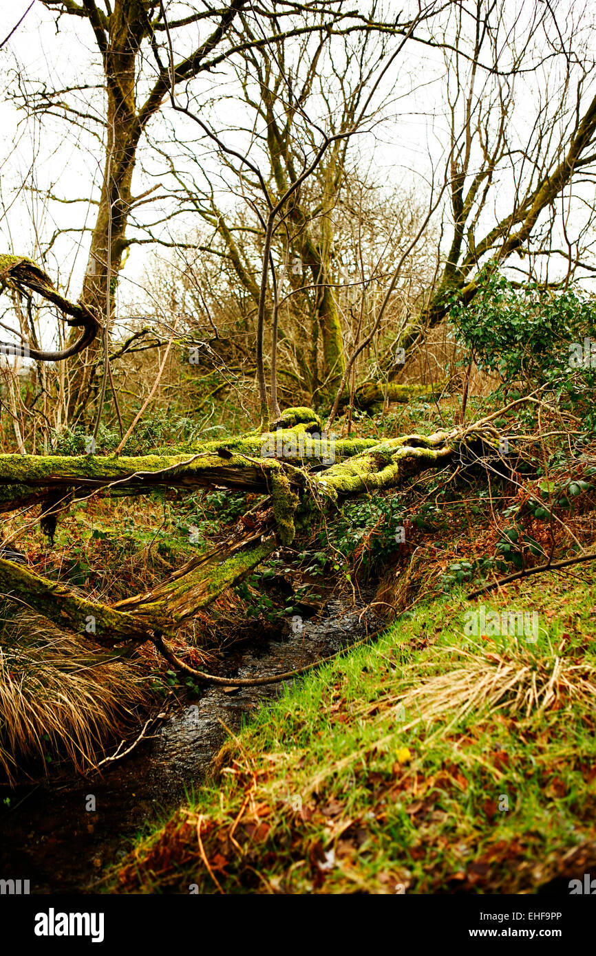 Tipi Valley Wales High Resolution Stock Photography and Images - Alamy