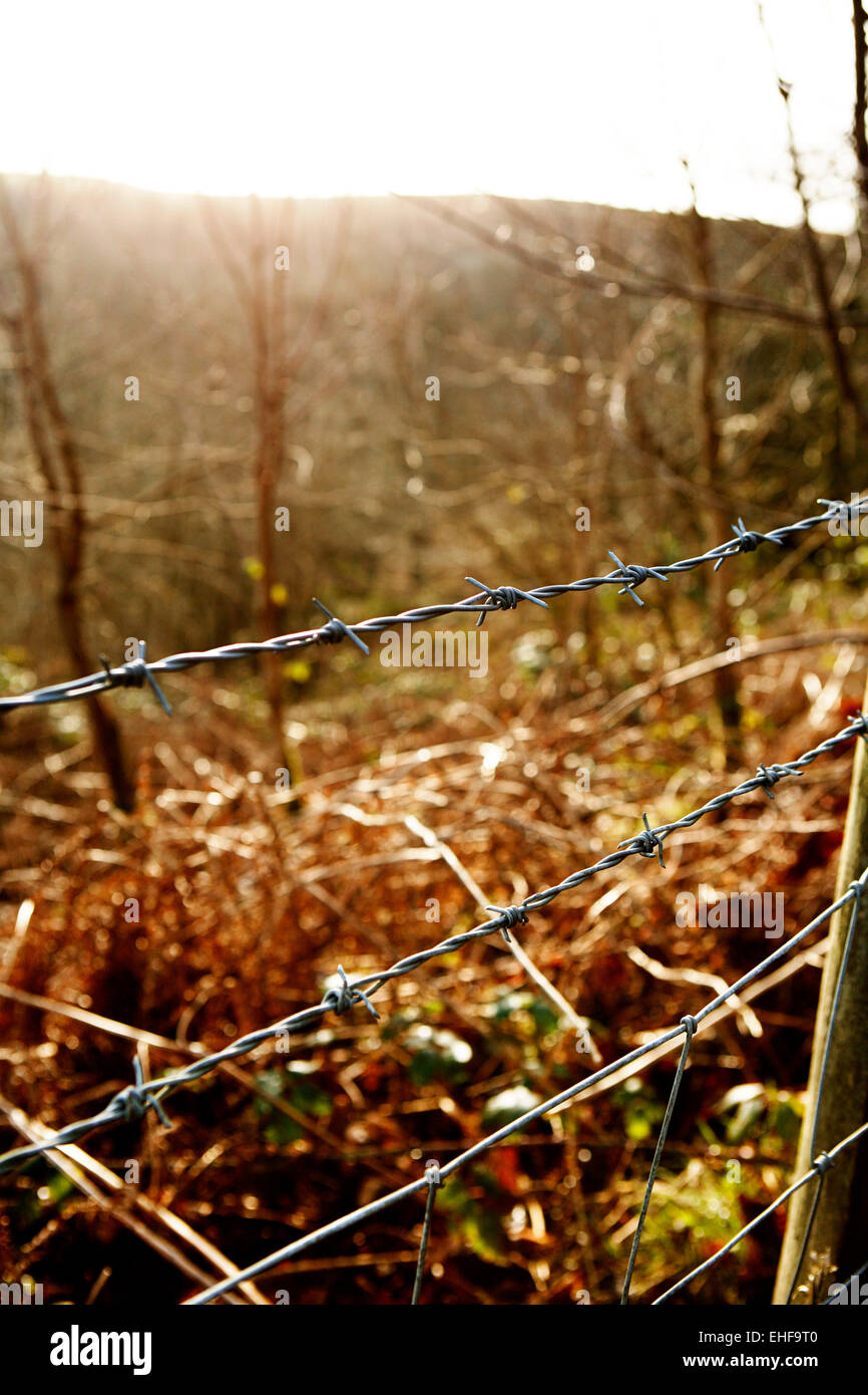 Tipi Valley Wales High Resolution Stock Photography and Images - Alamy