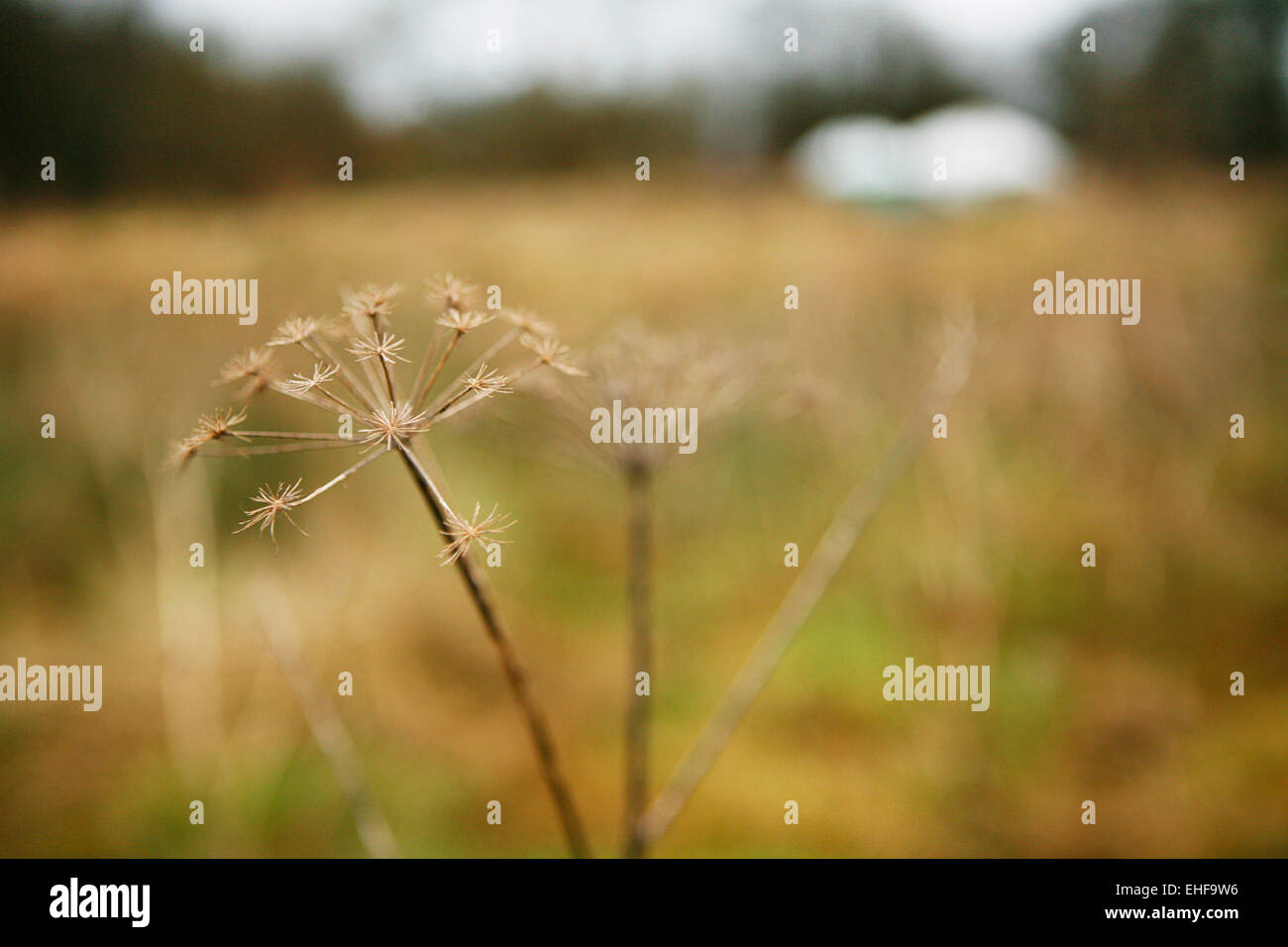 Tipi valley wales hi-res stock photography and images - Alamy