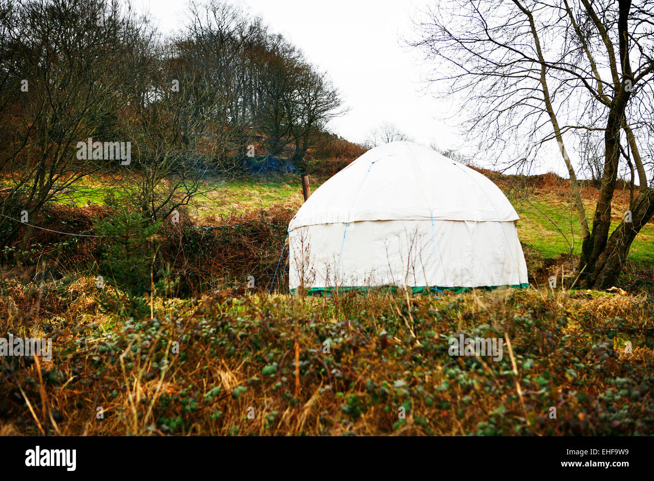 Talley hi-res stock photography and images - Alamy