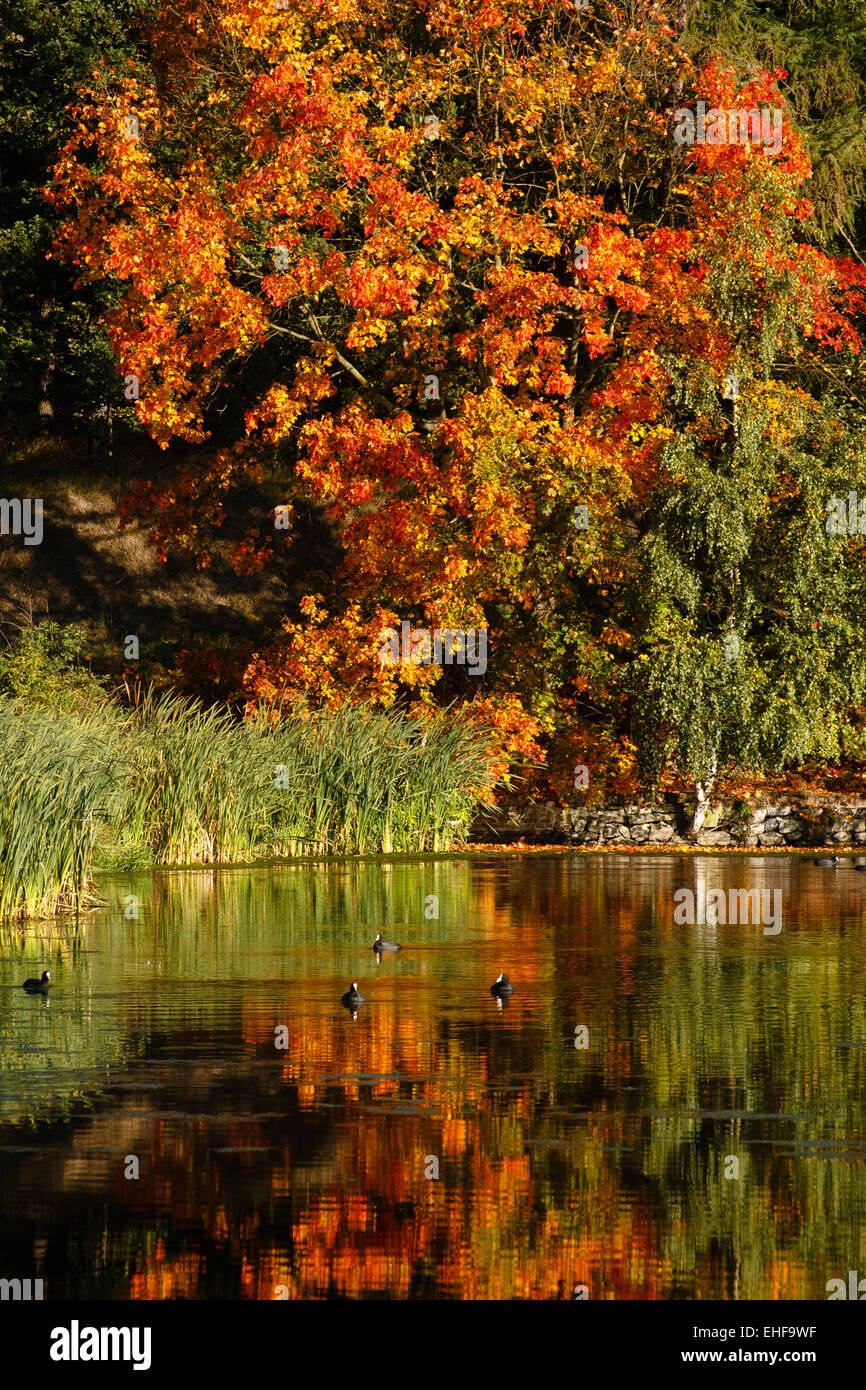 colors of autumn Stock Photo - Alamy