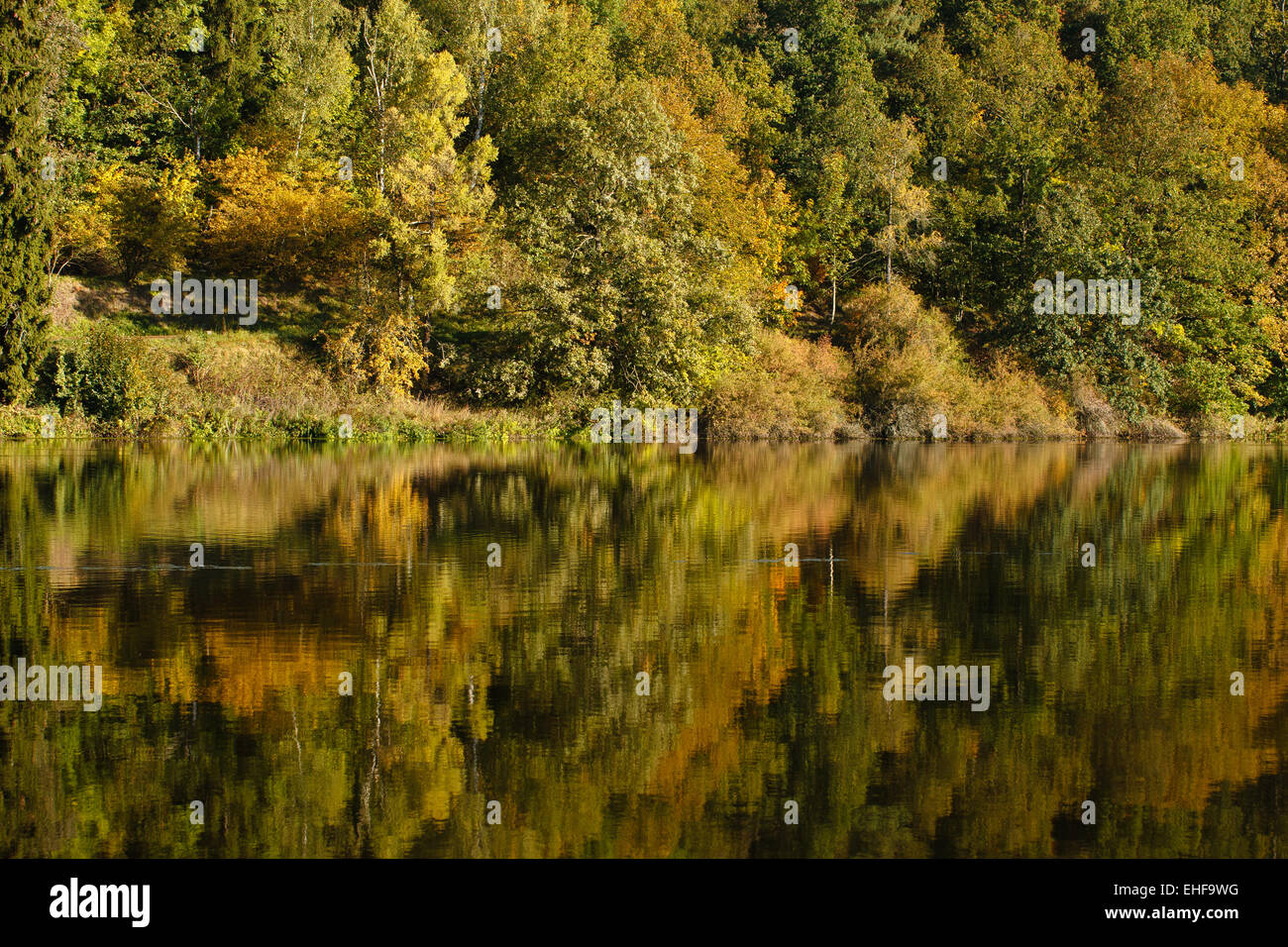 colors of autumn Stock Photo - Alamy