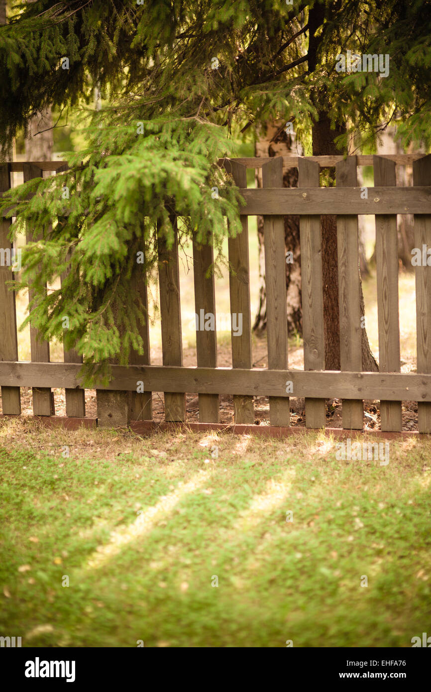 Sun shining through wooden fence Stock Photo - Alamy