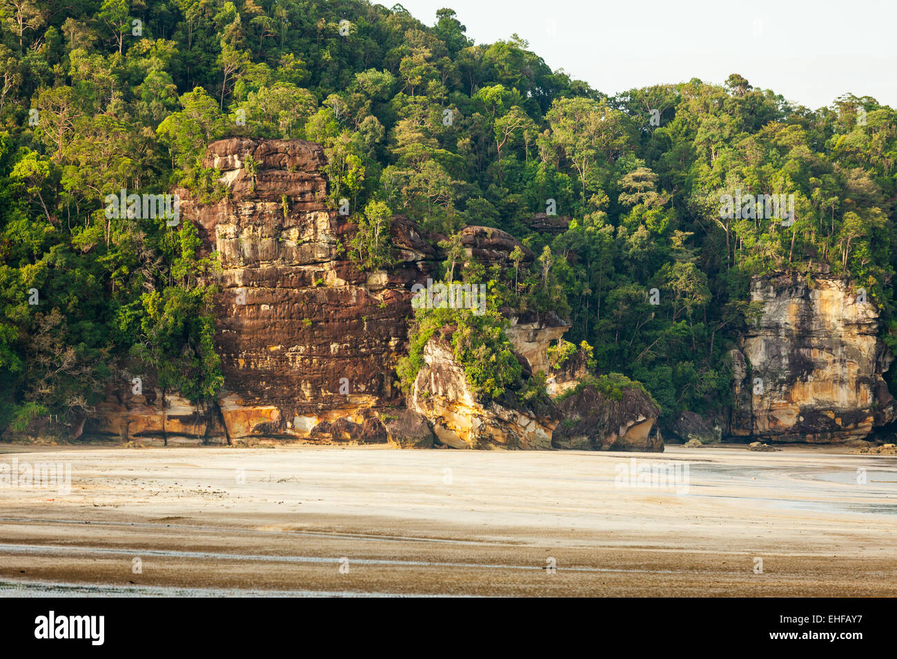 Cliff and rainforest in sand beach Stock Photo - Alamy