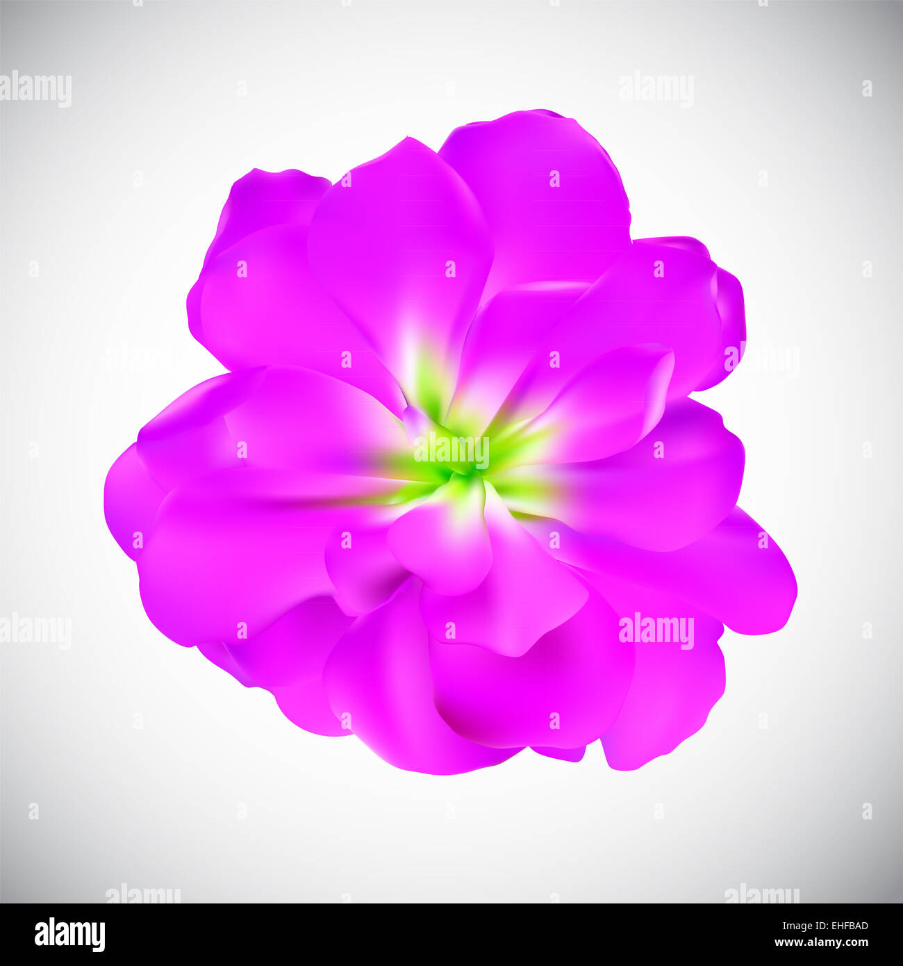 Realistic flower hi-res stock photography and images - Alamy