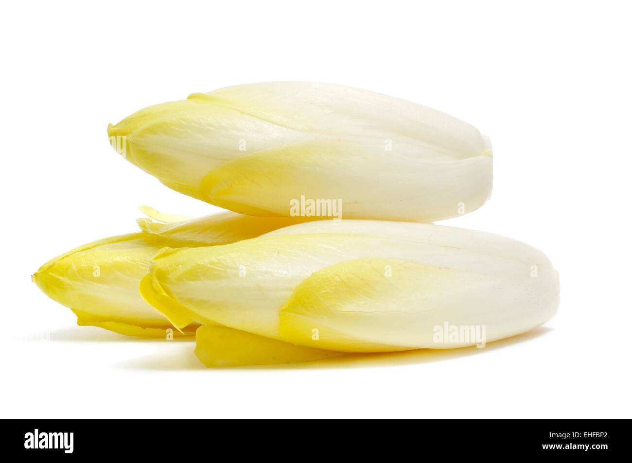 closeup of some Belgian endives on a white background Stock Photo - Alamy
