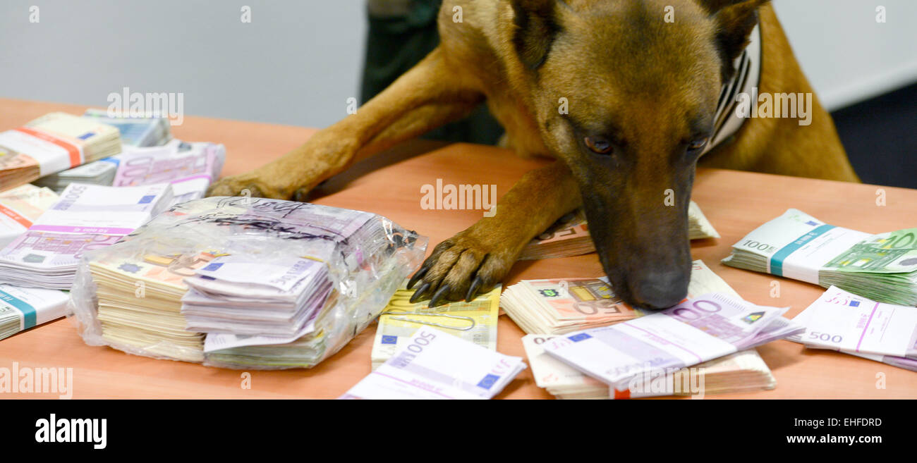 Aki, a cash-sniffing dog from the airport customs office, tackles ...