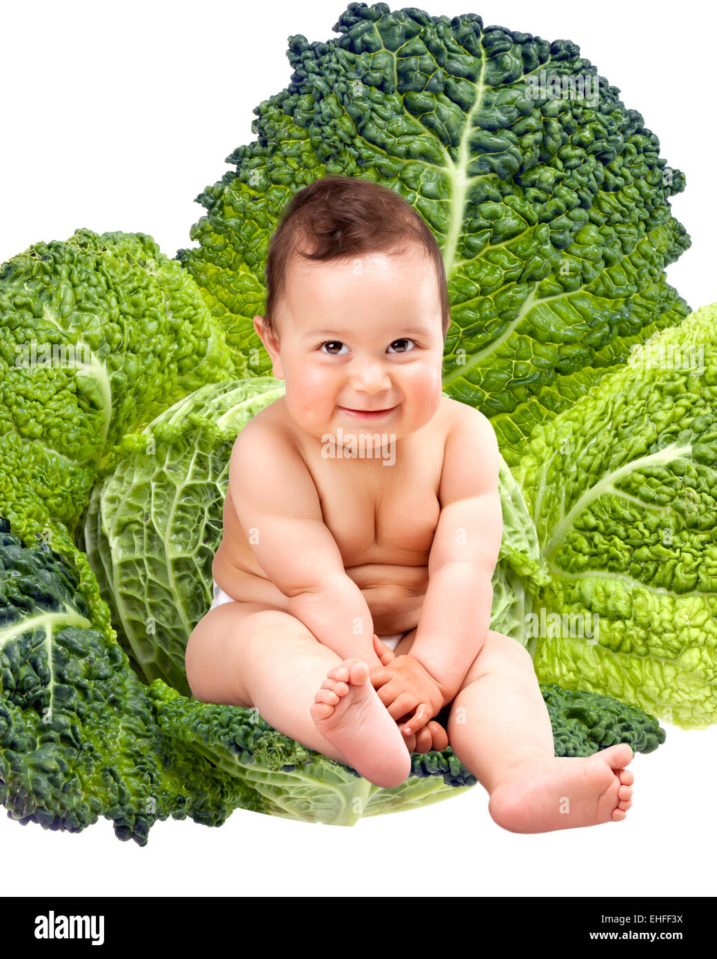 Happy baby boy sitting in cabbage leaves Stock Photo - Alamy