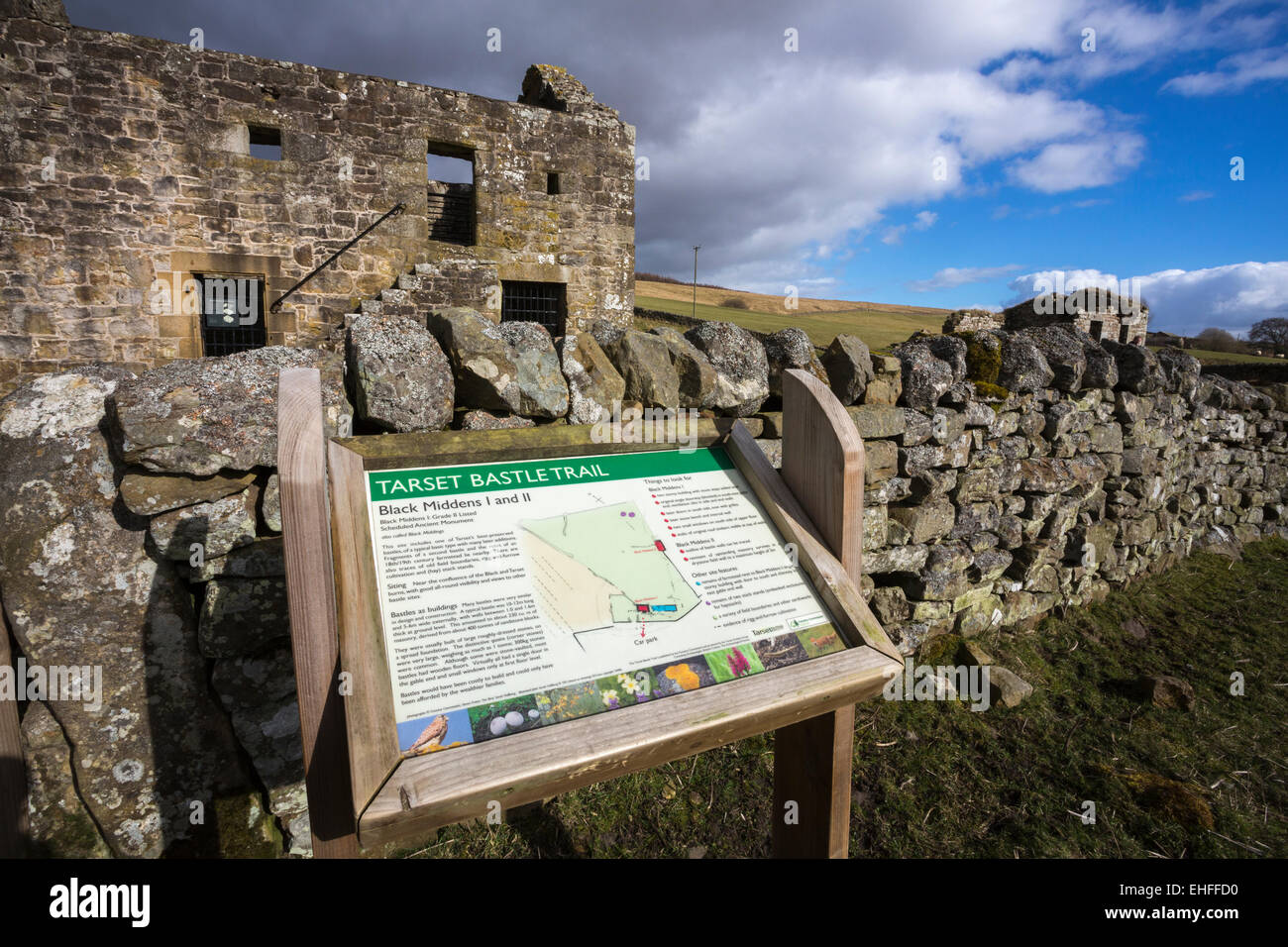 Tarset Trail High Resolution Stock Photography and Images - Alamy