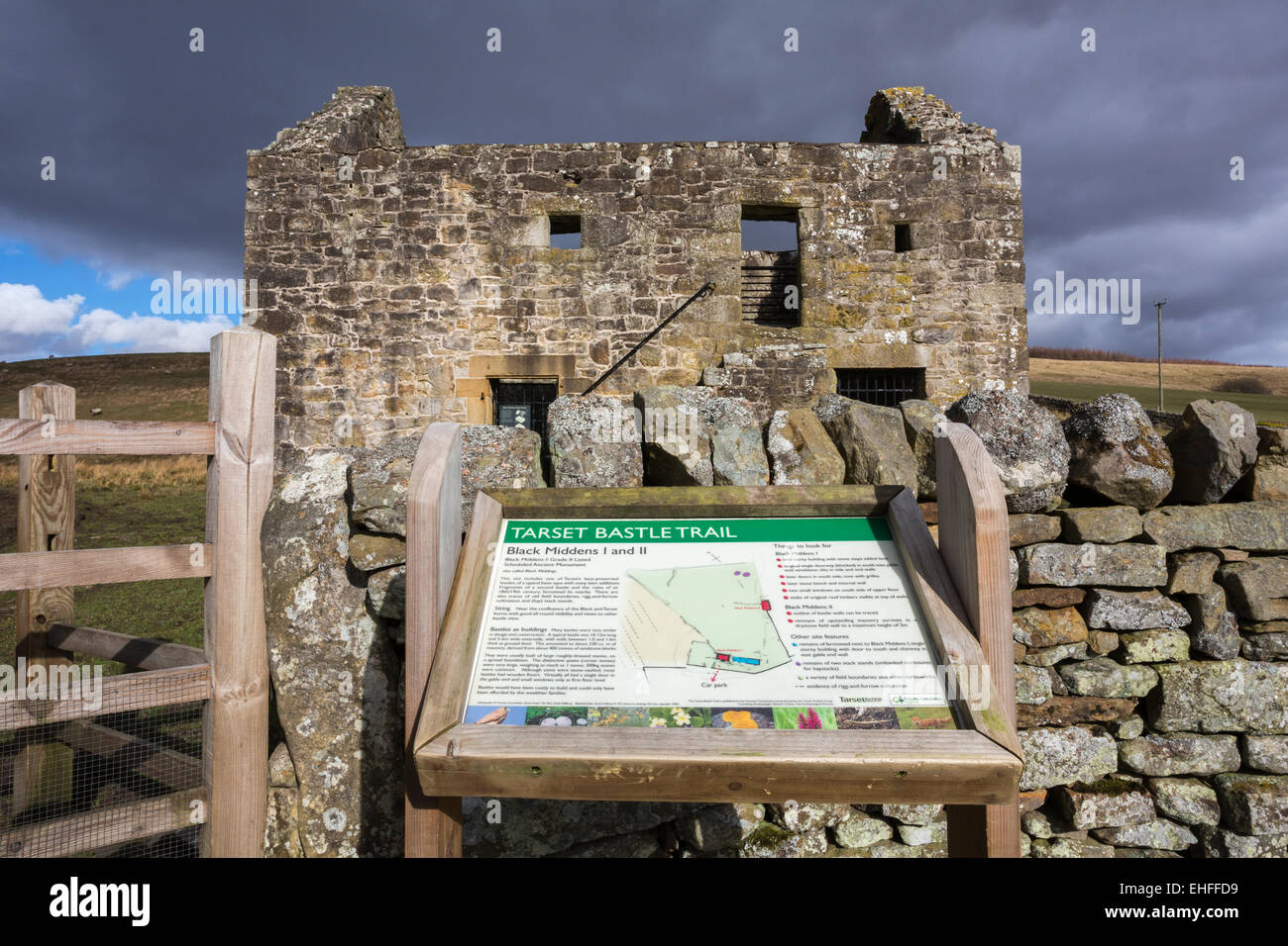 Tarset Trail High Resolution Stock Photography and Images - Alamy