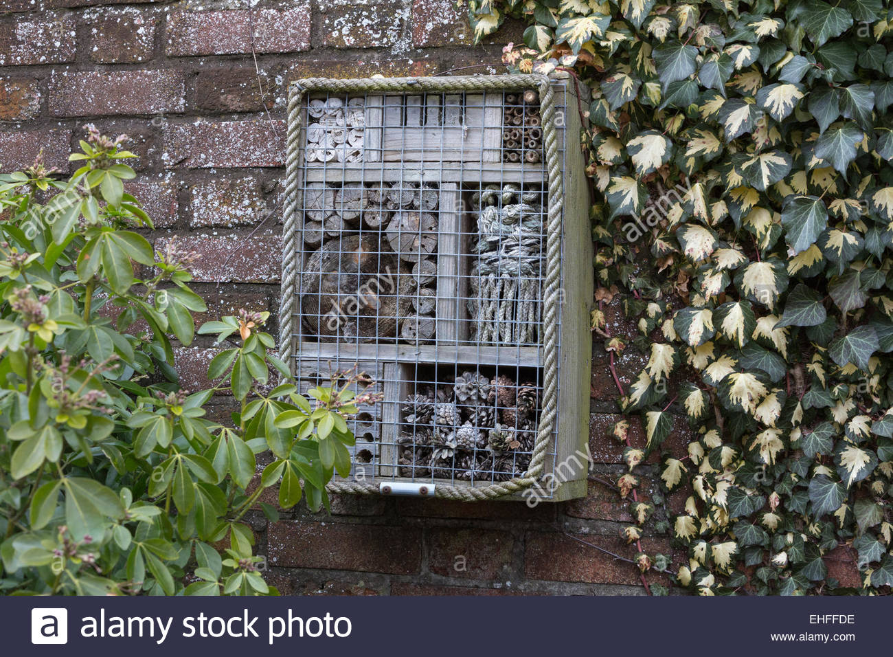 Garden Bug Hotel High Resolution Stock Photography and Images - Alamy