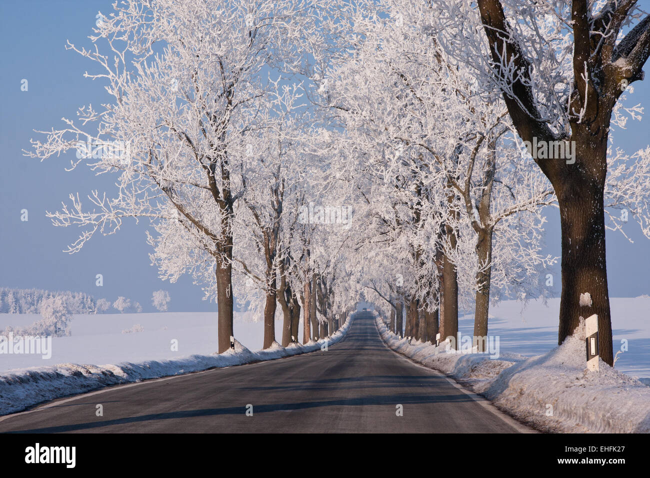 Chausee hi-res stock photography and images - Alamy