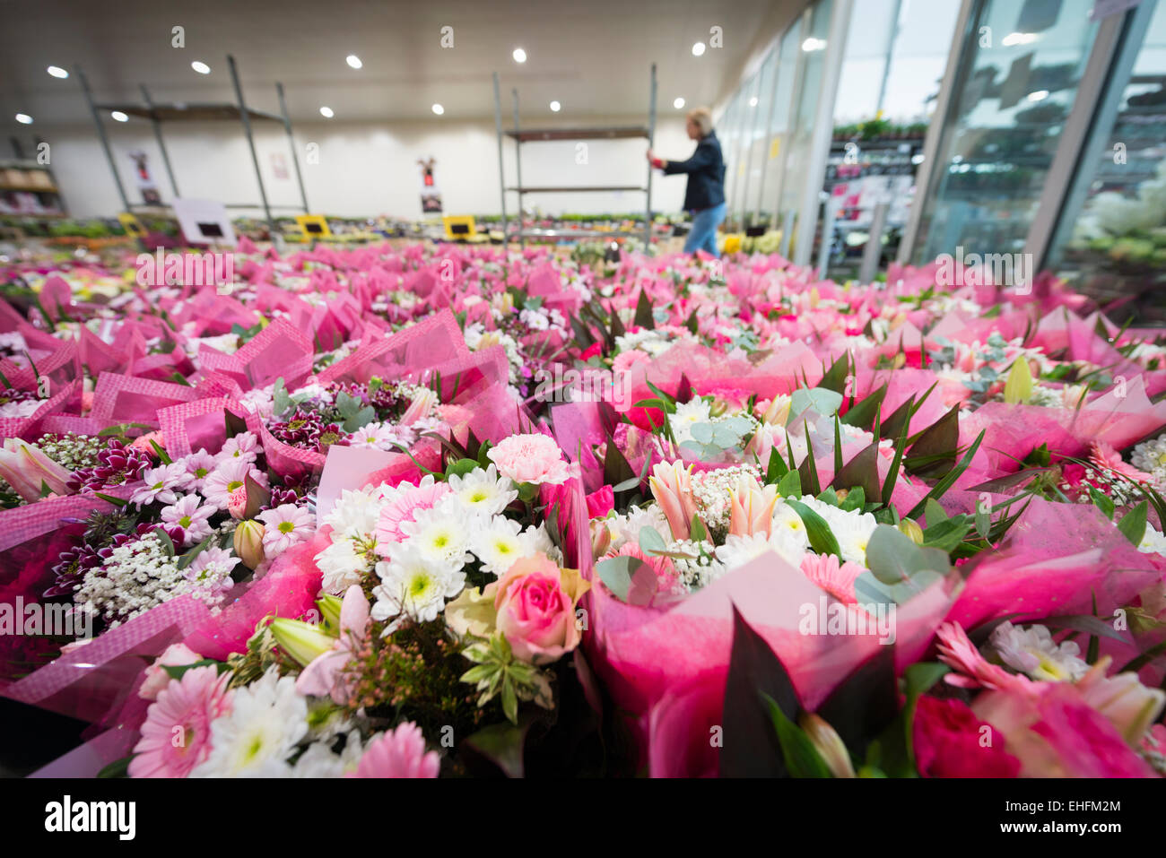 Bedfordshire, UK. 13th March, 2015. A mass of colourful flowers are on ...