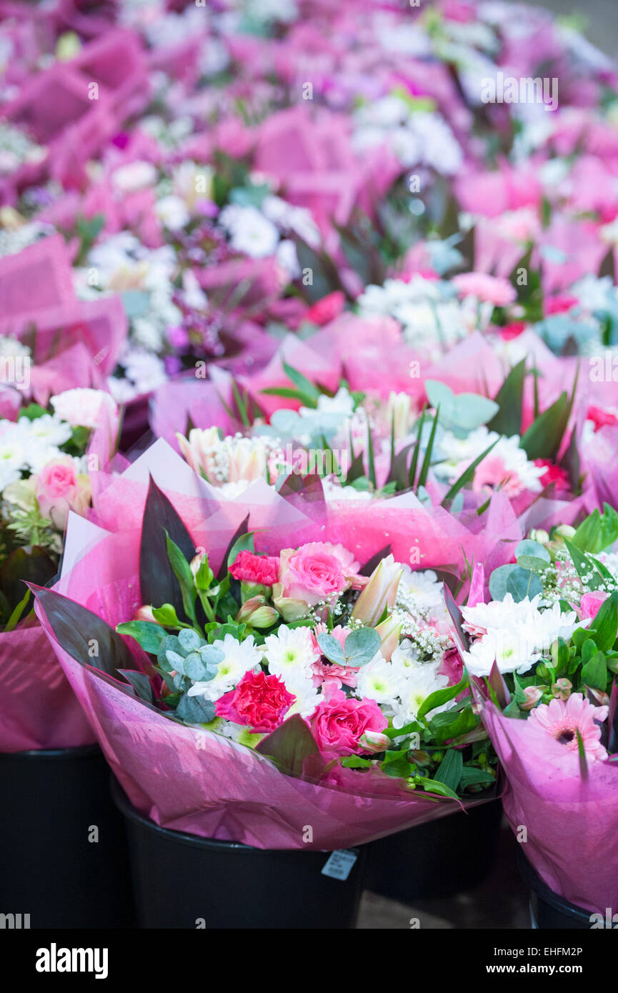 Bedfordshire, UK. 13th March, 2015. A mass of colourful flowers are on ...