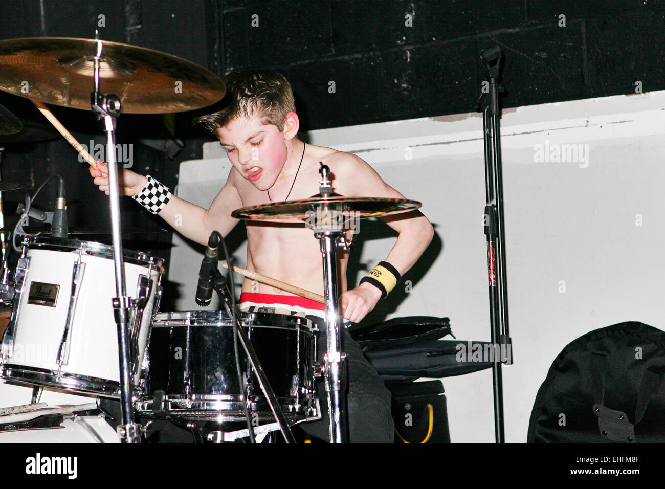 British monkeys hi-res stock photography and images - Alamy