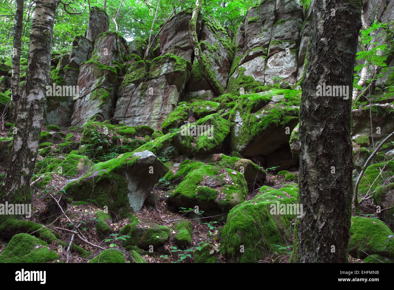 Rhon steinwand rhon rhon stone wall hi-res stock photography and images ...
