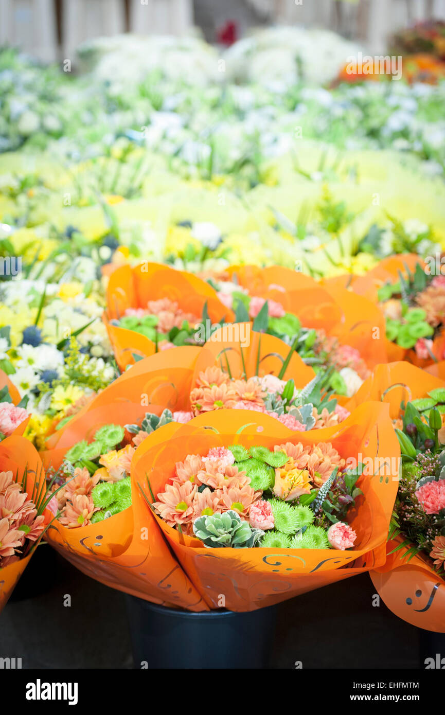 Bedfordshire, UK. 13th March, 2015. A mass of colourful flowers are on ...