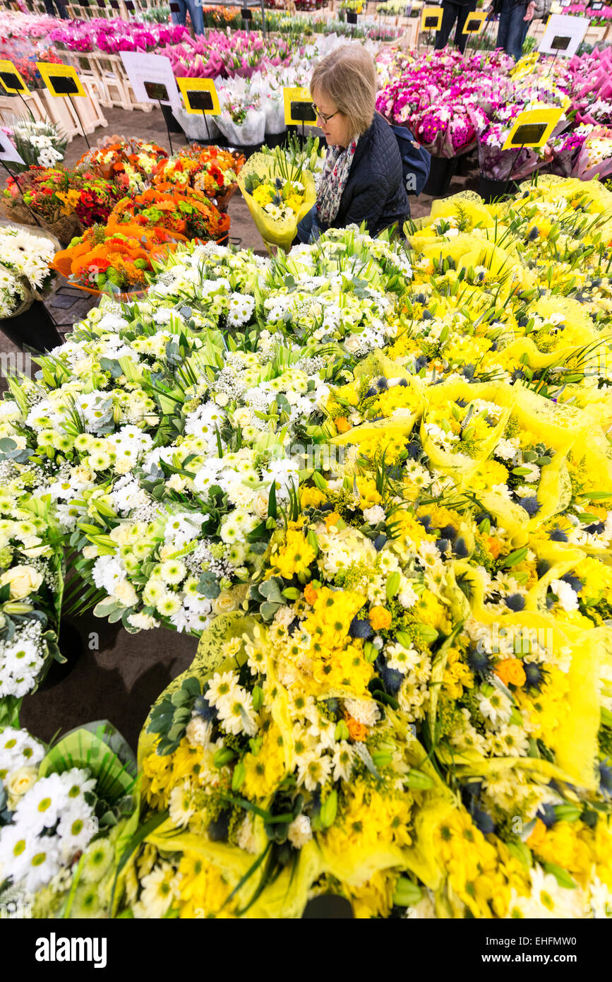 Bedfordshire, UK. 13th March, 2015. A mass of colourful flowers are on ...