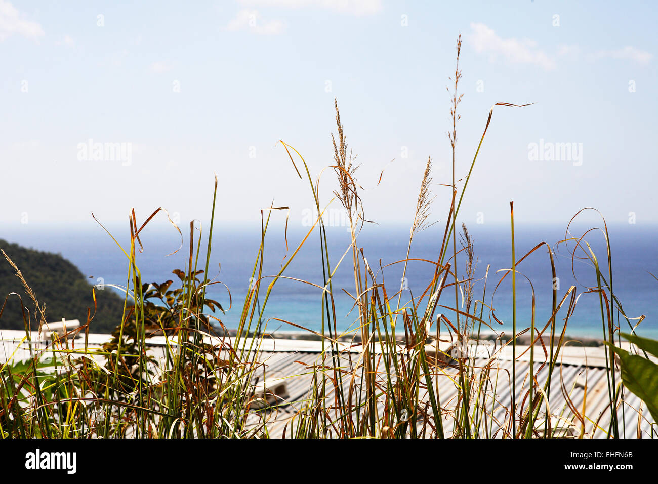 Boboshanti Rasta Camp outside Kingston Jamaica Stock Photo - Alamy