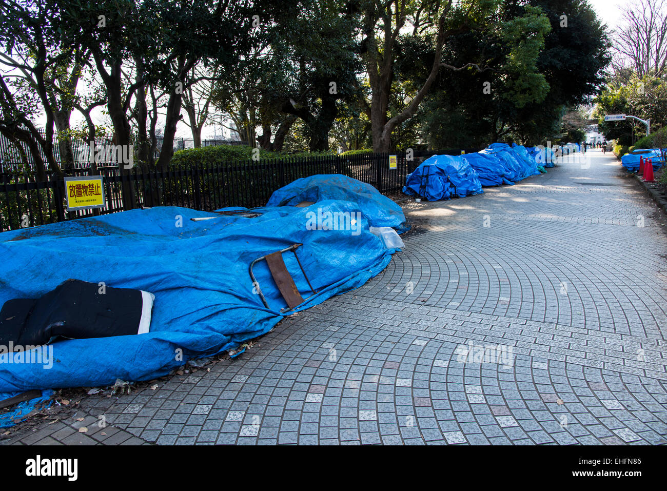 Houses of Homeless people,Yoyogi Park,Shibuya-Ku,Tokyo,Japan Stock ...