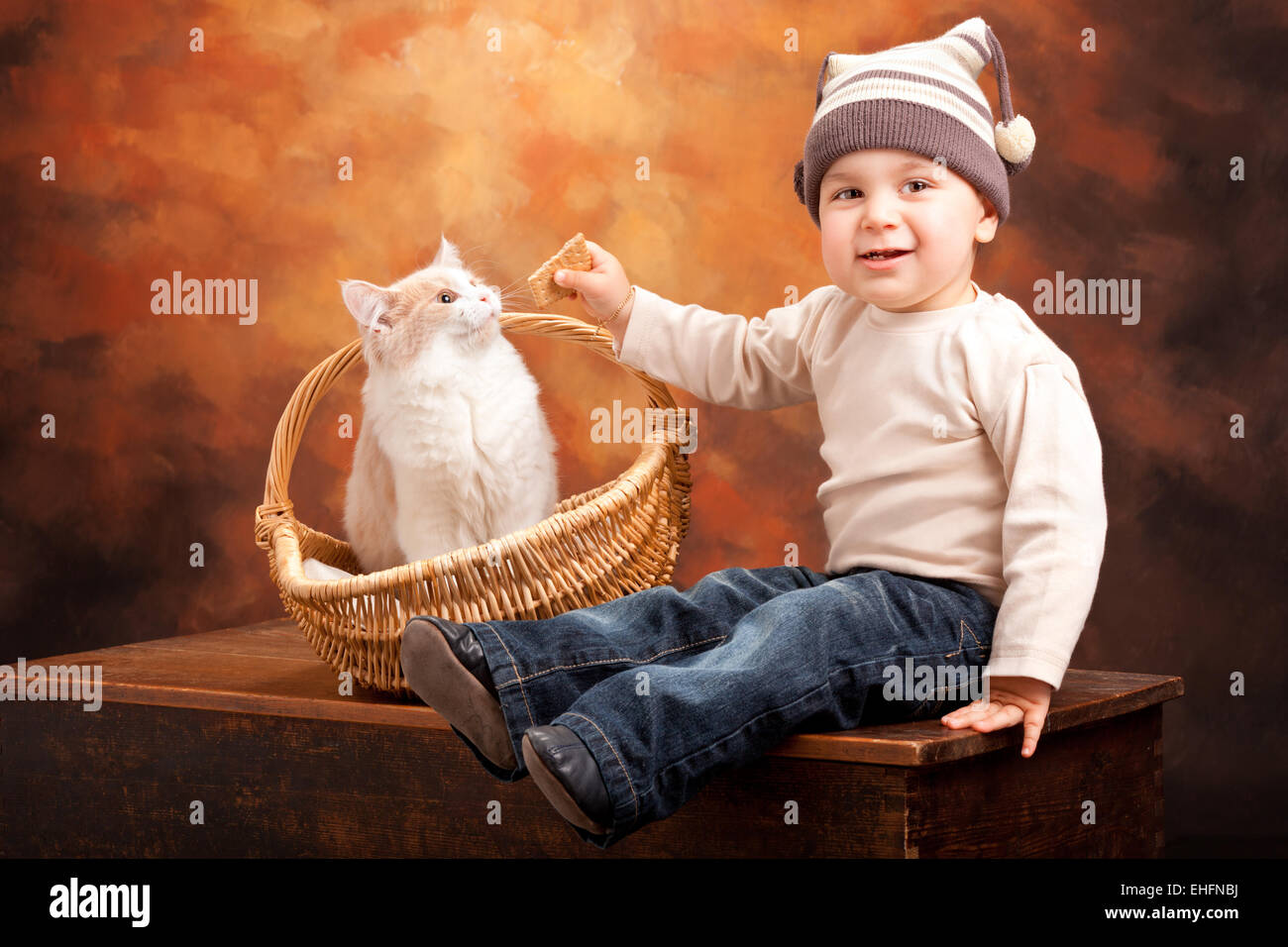 Boy kitten hi-res stock photography and images - Alamy