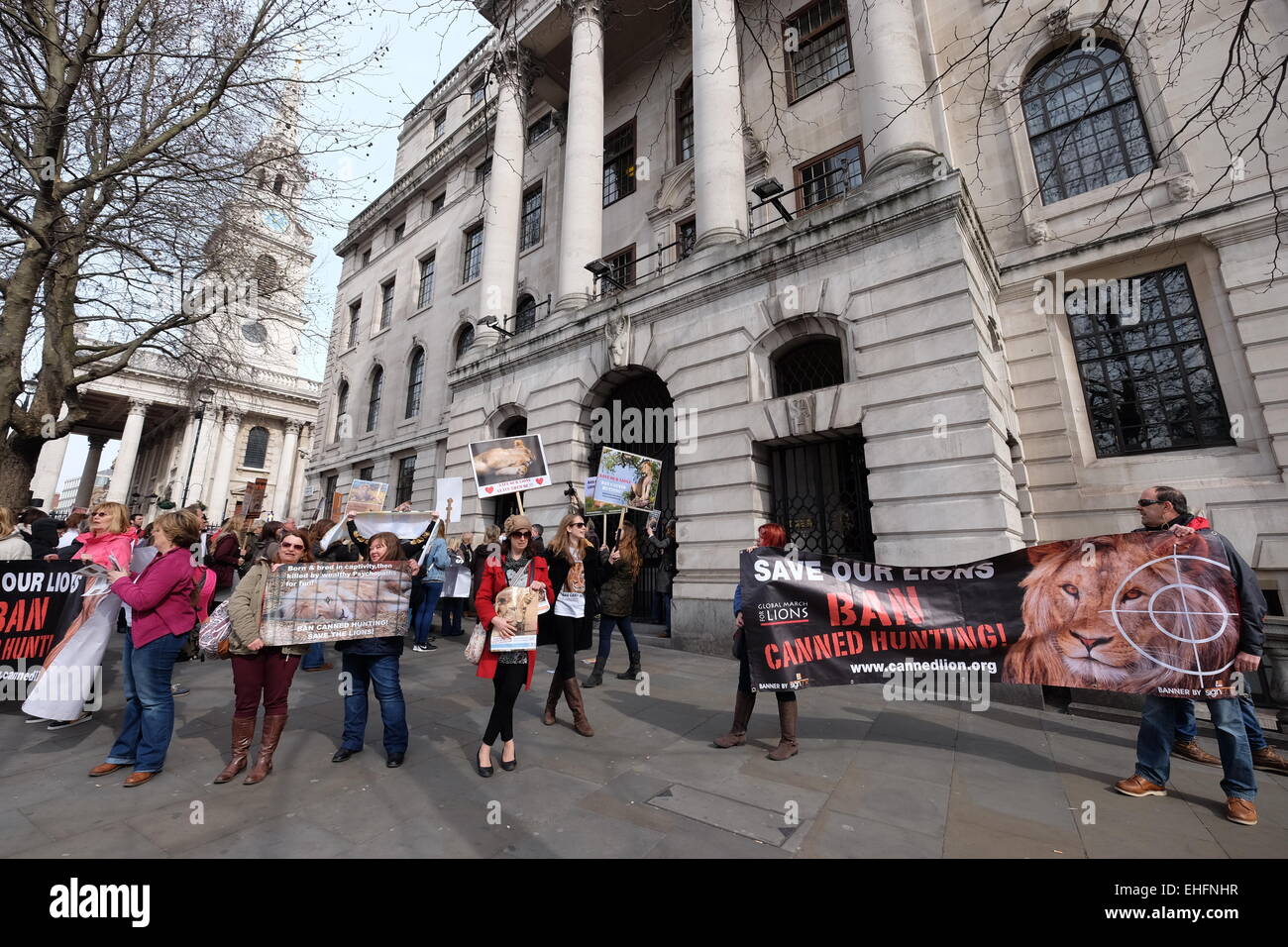 Lion hunting protest south africa hi-res stock photography and images ...