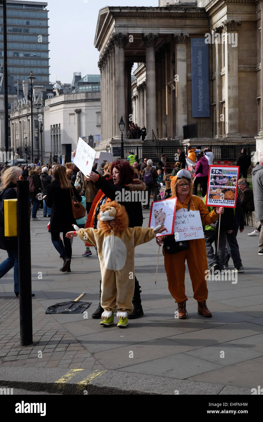 Lion hunting protest south africa hi-res stock photography and images ...
