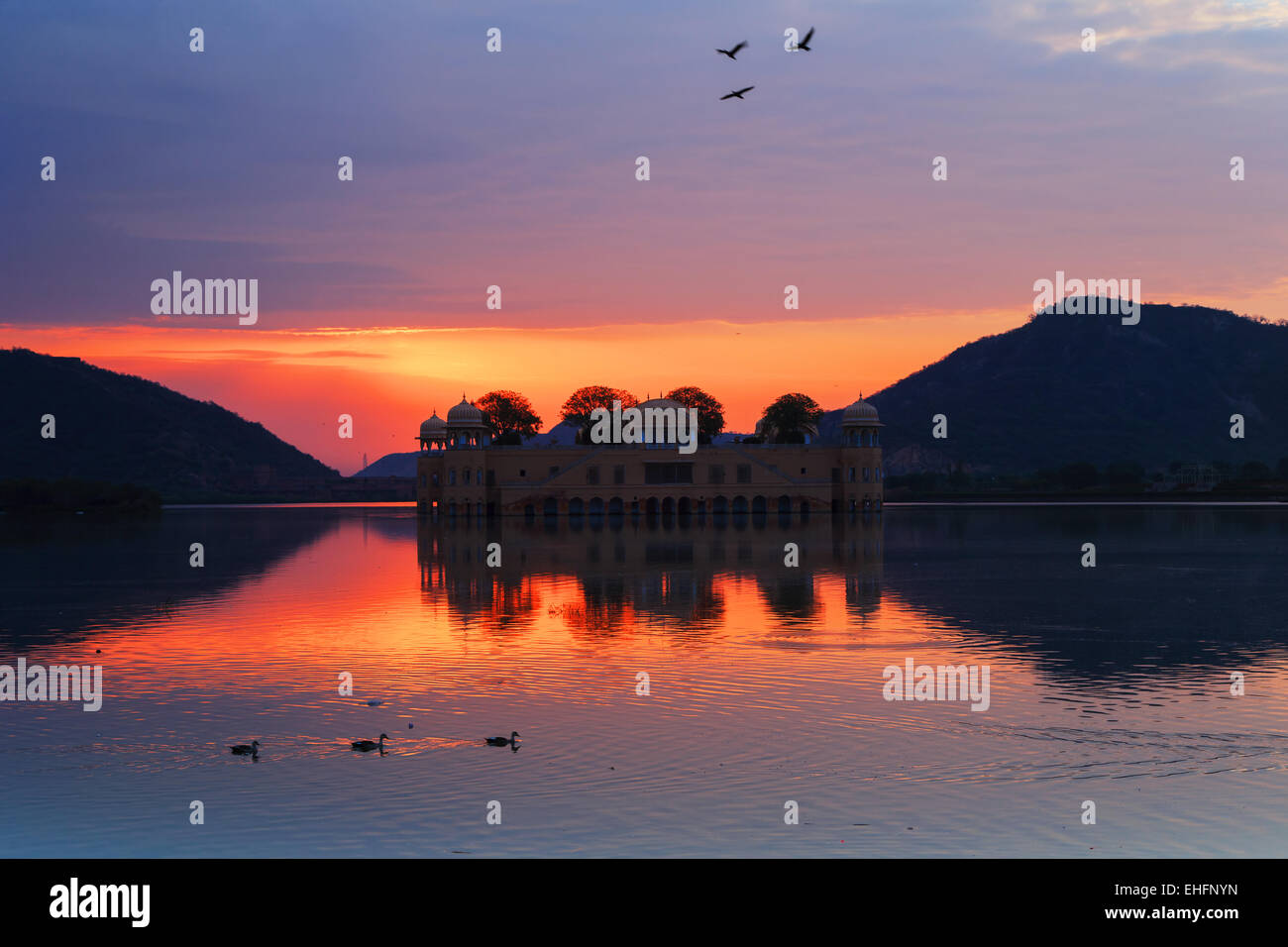 Vibrant sunrise and flocked of birds in Jai Mahal, India Stock Photo ...
