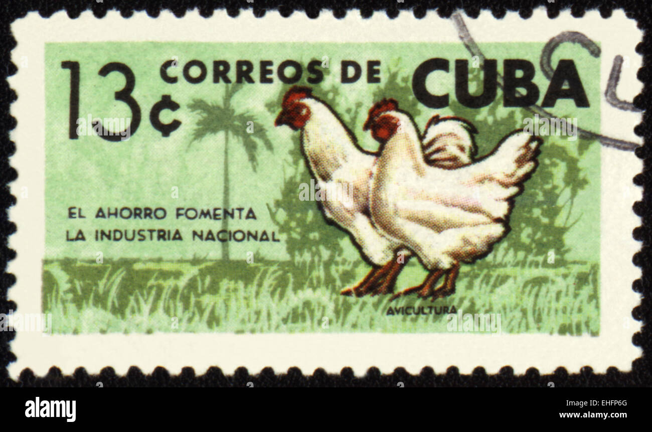 CUBA - CIRCA 1960s: stamp printed in Cuba shows rooster and hen Stock ...