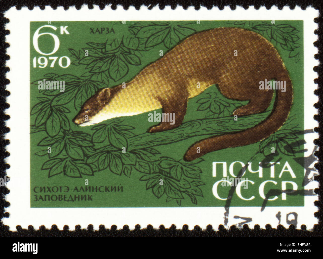 USSR - CIRCA 1970: post stamp printed in USSR shows Pine marten Stock ...