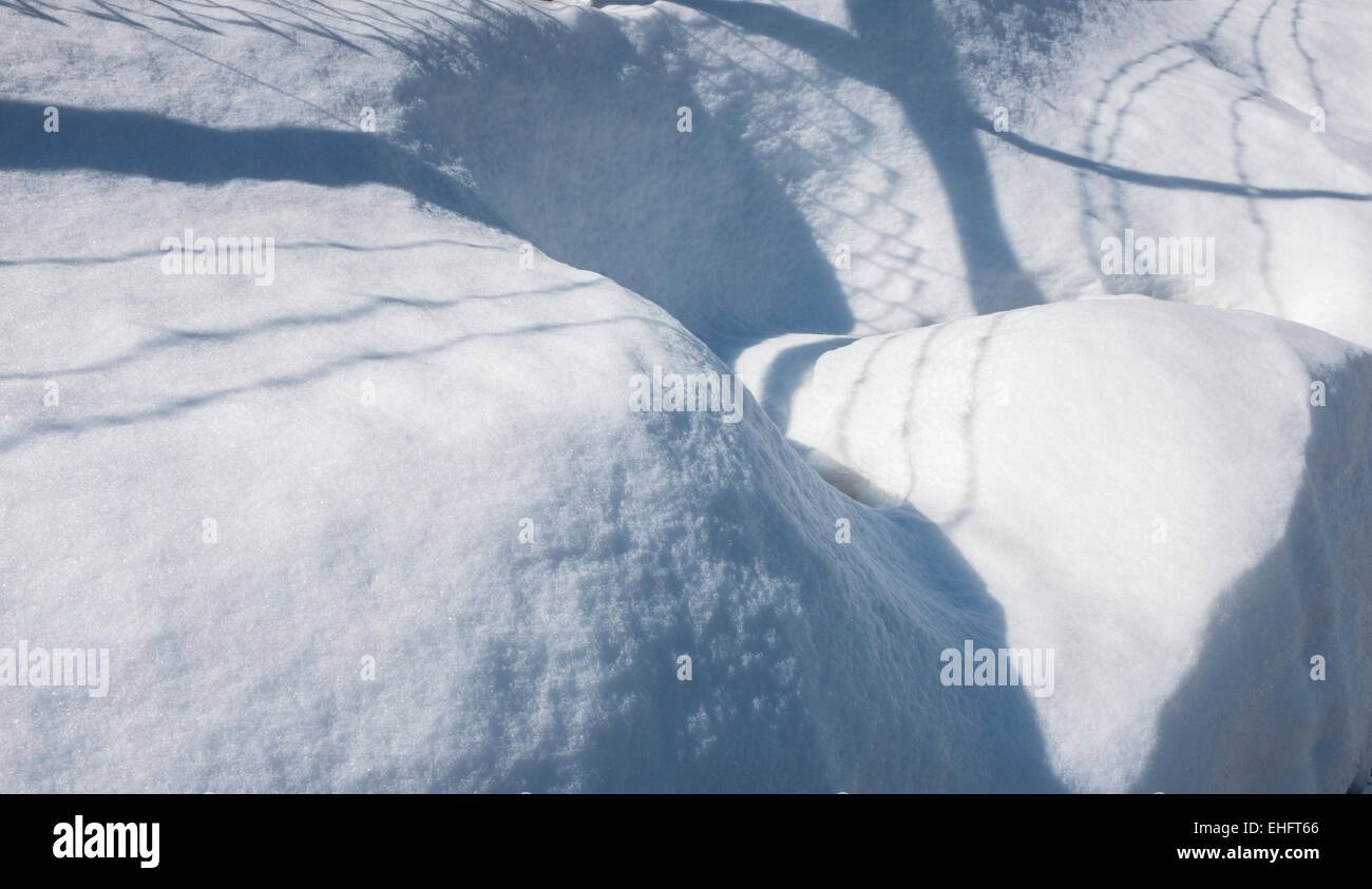 Shadows on Snow Stock Photo - Alamy