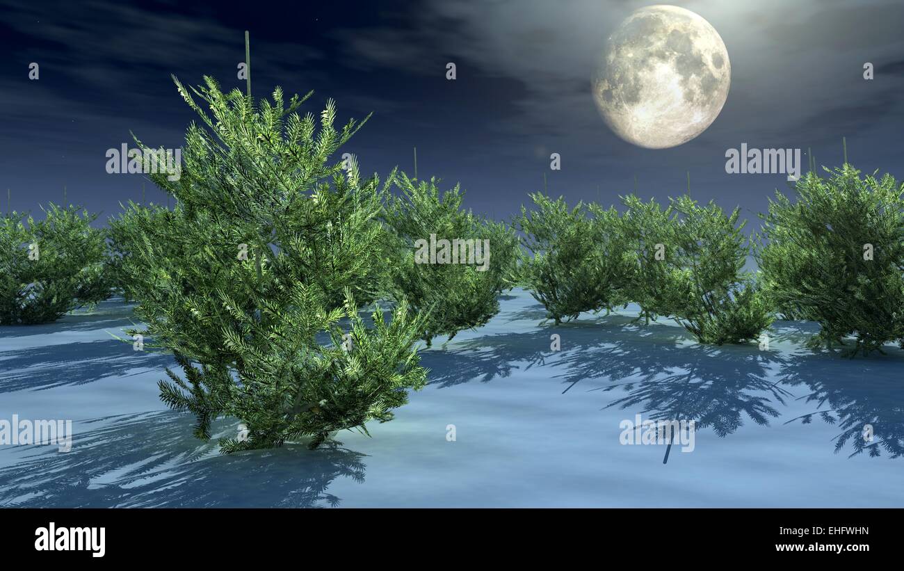 Moonlight trees hi-res stock photography and images - Alamy