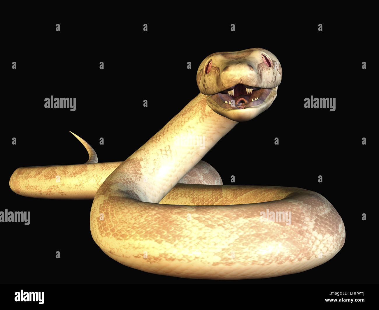 Fangs cutout hi-res stock photography and images - Alamy