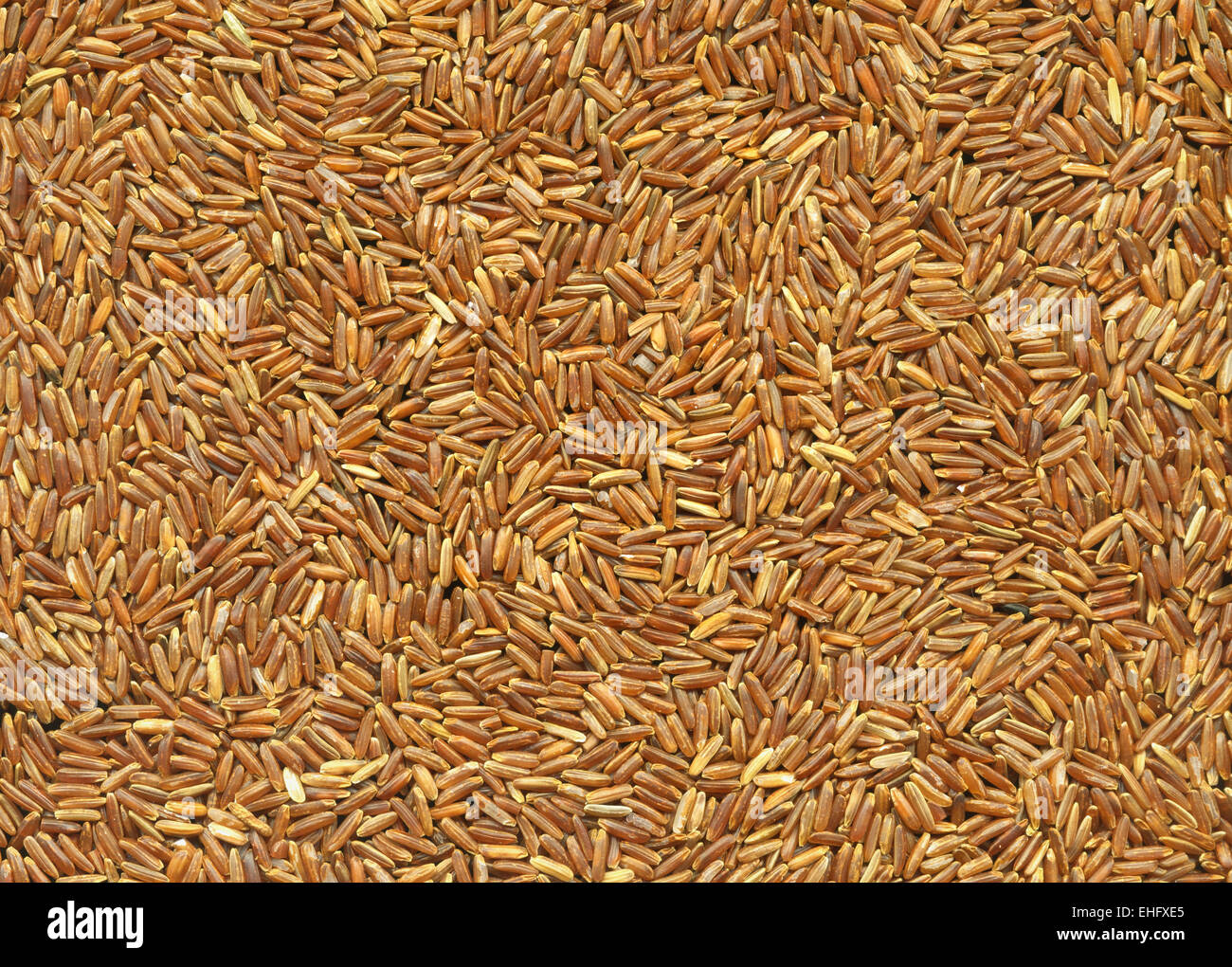 Culinary wild rice hi-res stock photography and images - Alamy