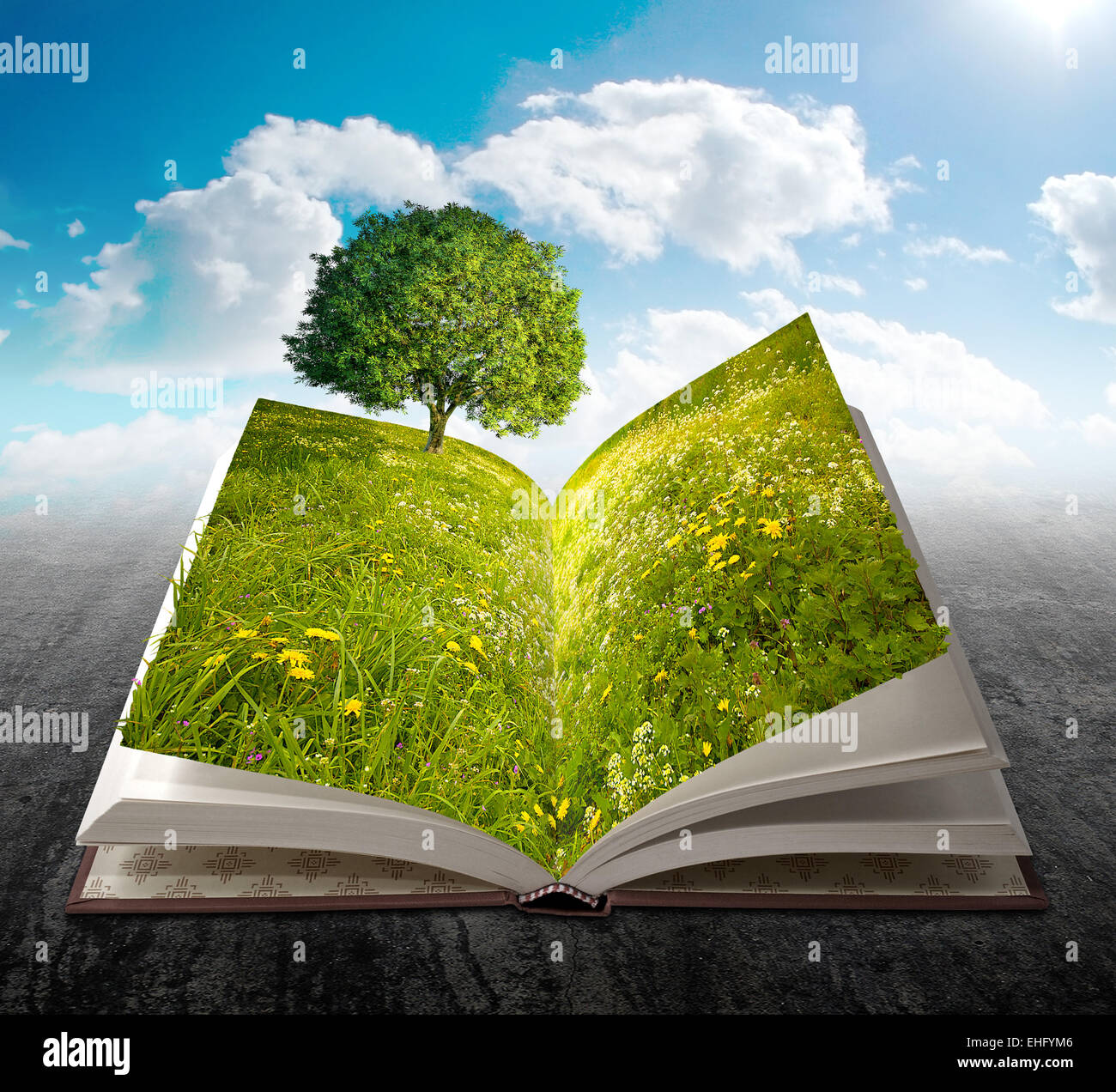 Book nature hi-res stock photography and images - Alamy