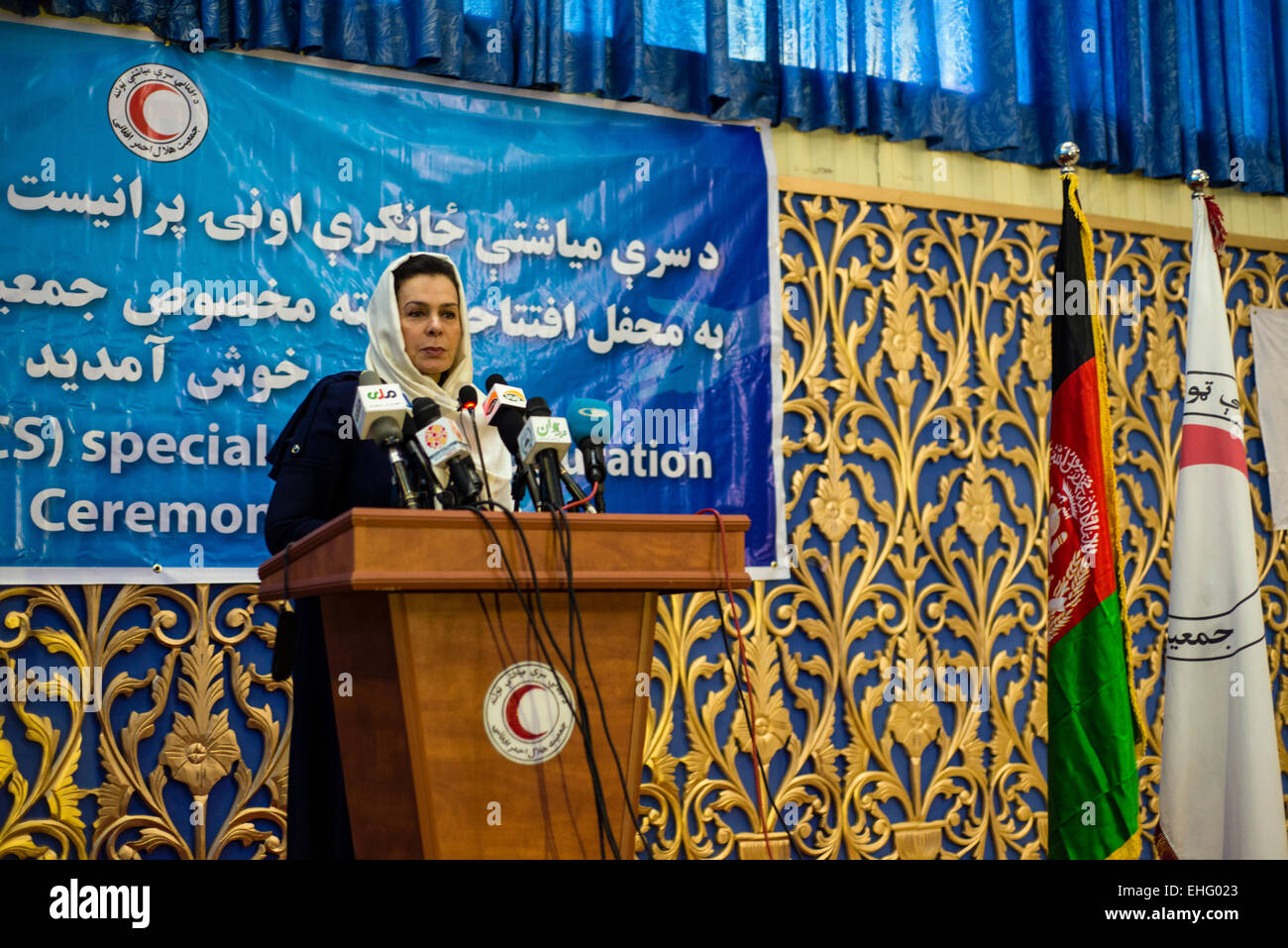 Portrait of Fatima Gailani, president of Afghan Red Crescent Society ...