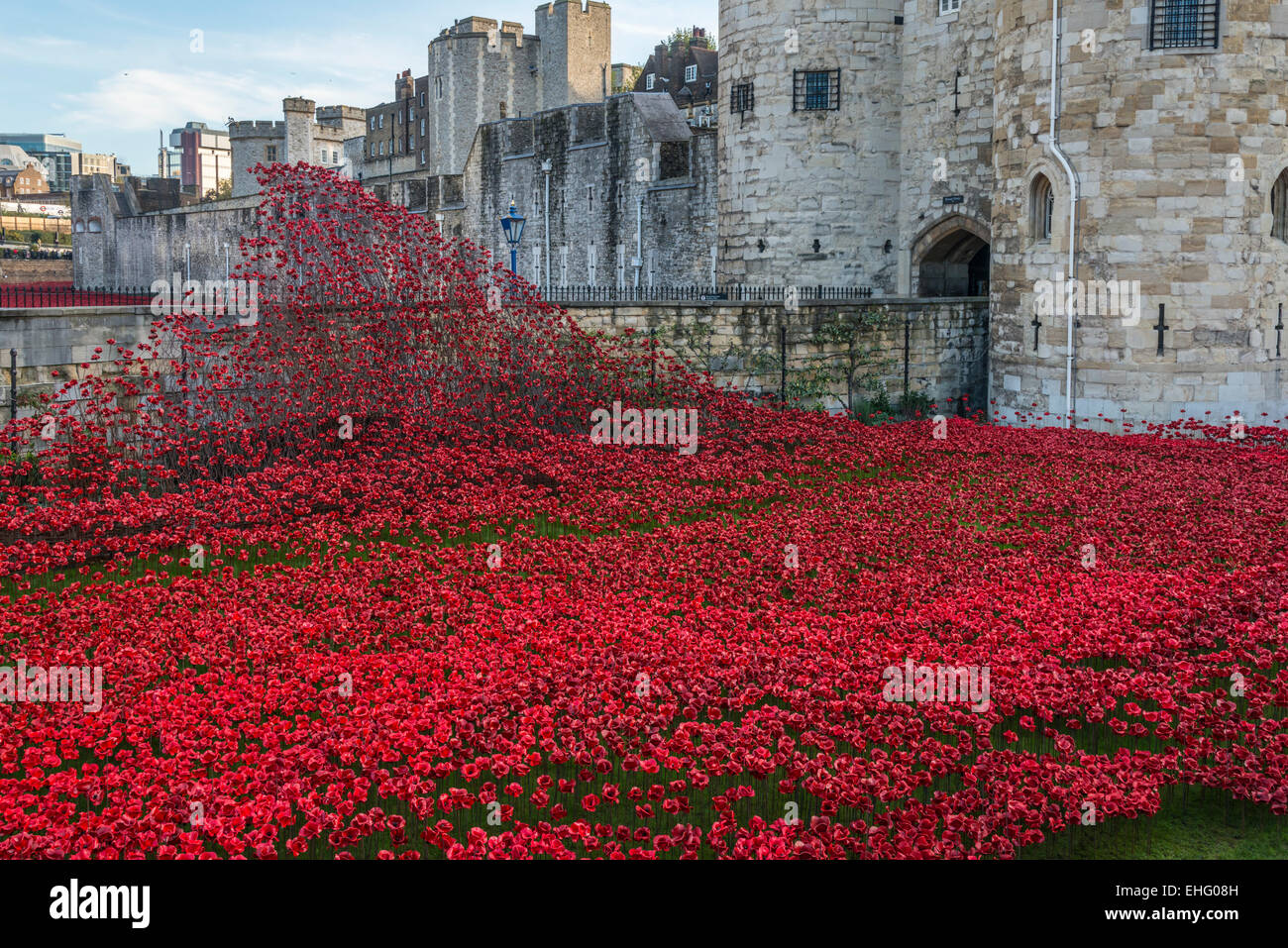 Display of ceramic red poppies at the Tower of London marking the ...