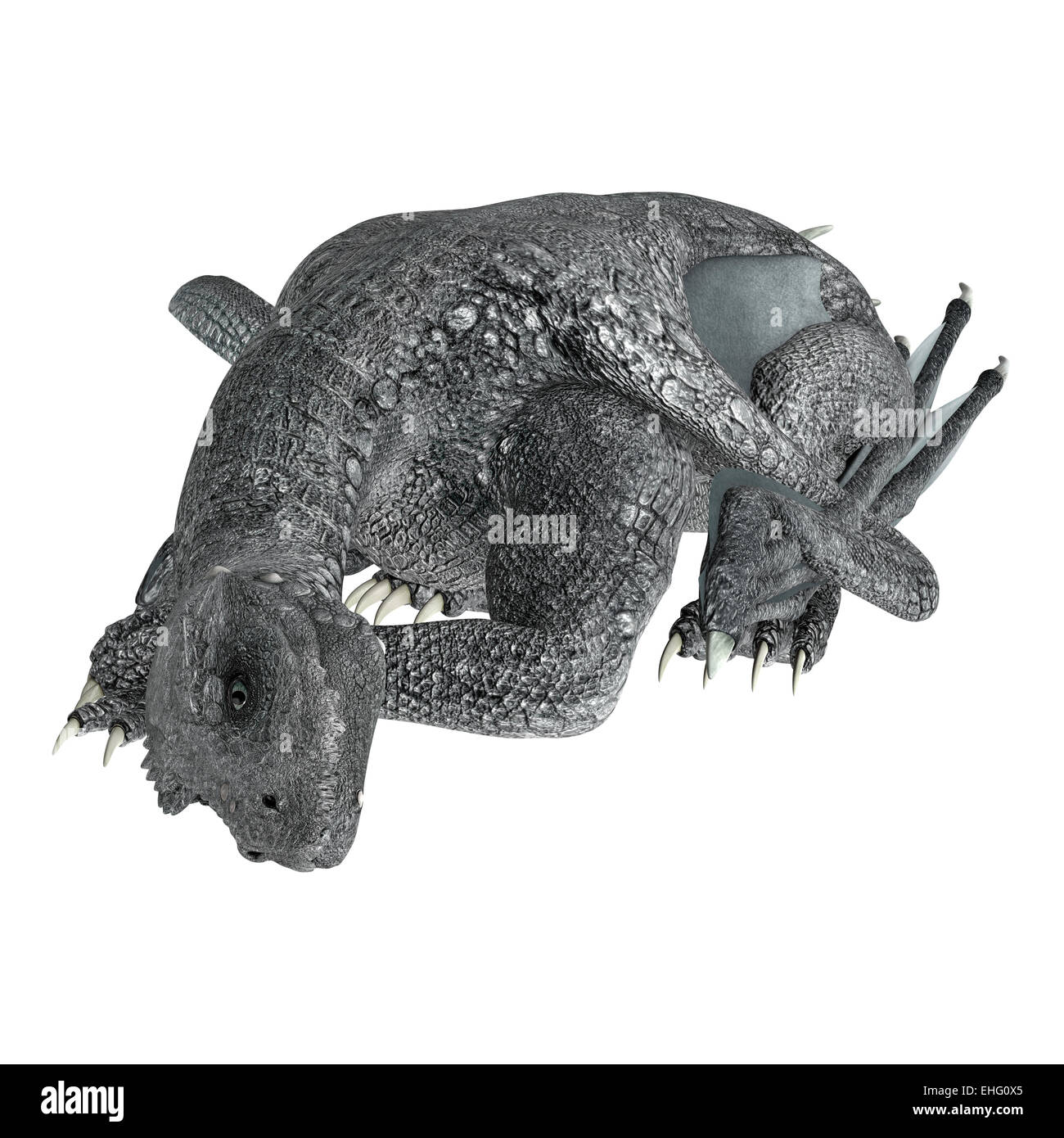 3D digital render of a resting fantasy dragon isolated on white ...