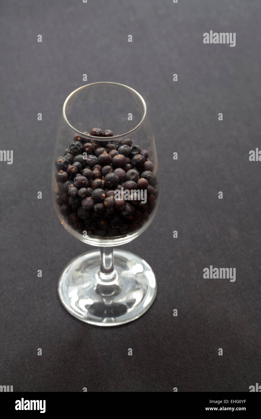 Gin glass distiller hi-res stock photography and images - Alamy
