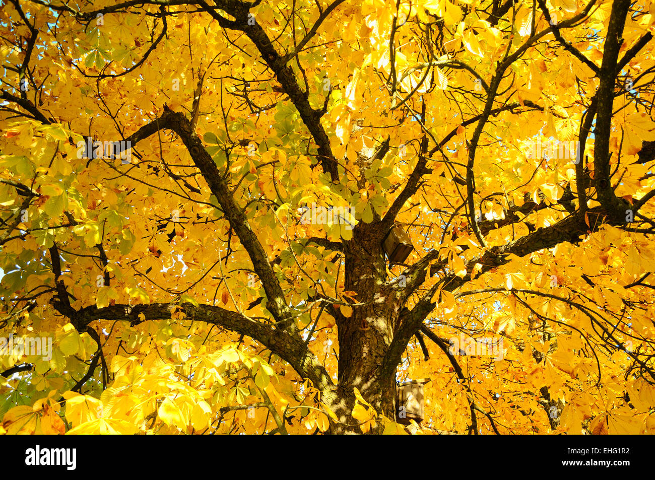 Above perspective hi-res stock photography and images - Alamy