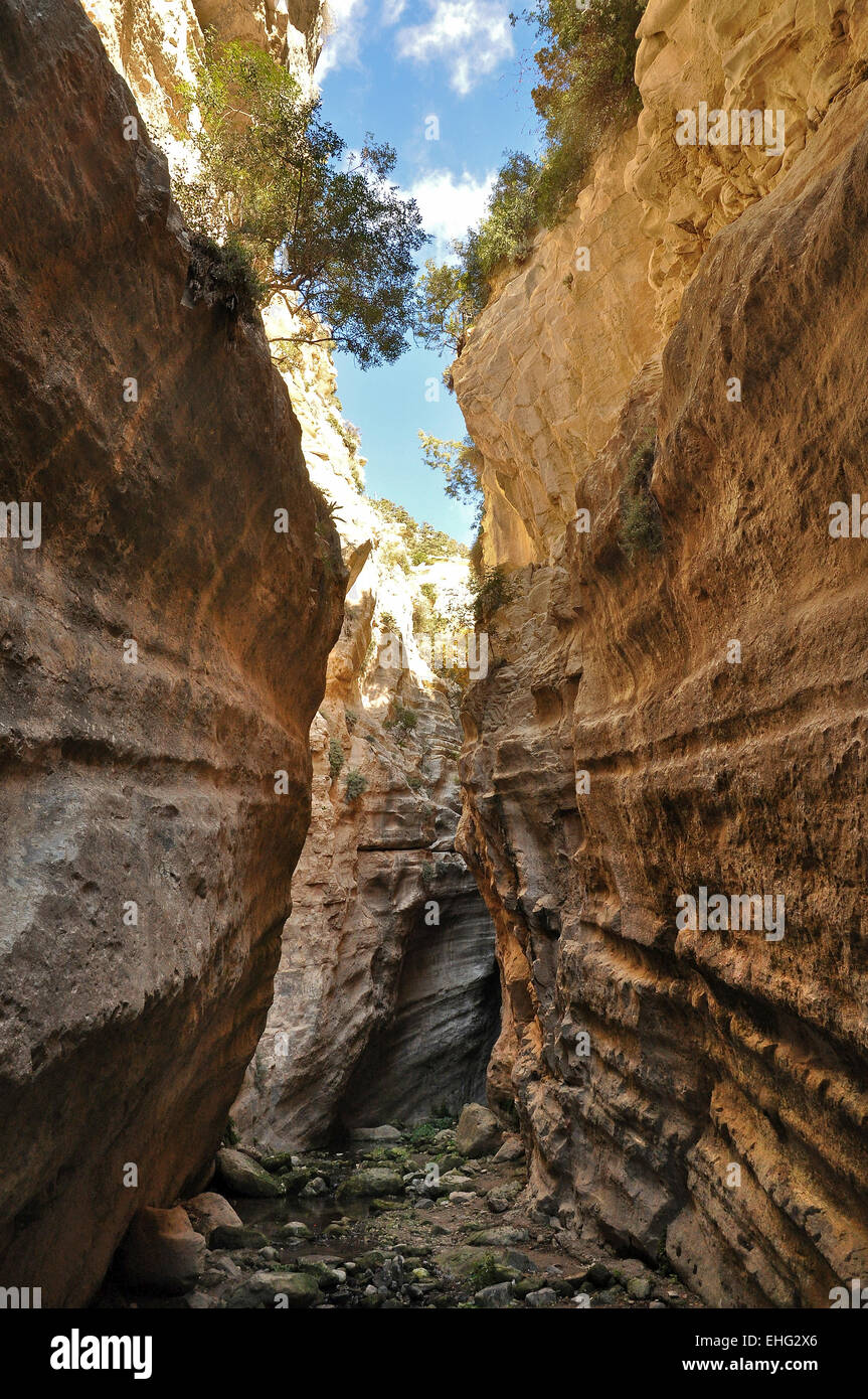 Trail at Avgas Gorge in Cyprus Stock Photo - Alamy