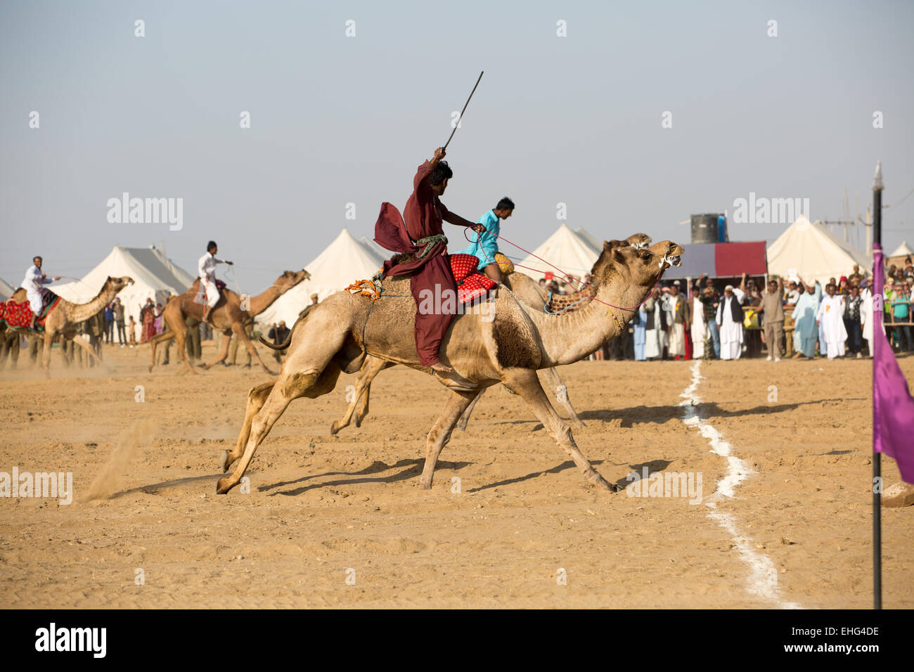Camel racing Jaisalmer Festival Stock Photo - Alamy