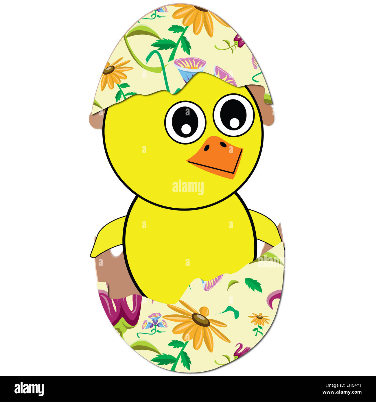 easter egg hatch as chicken Stock Photo - Alamy