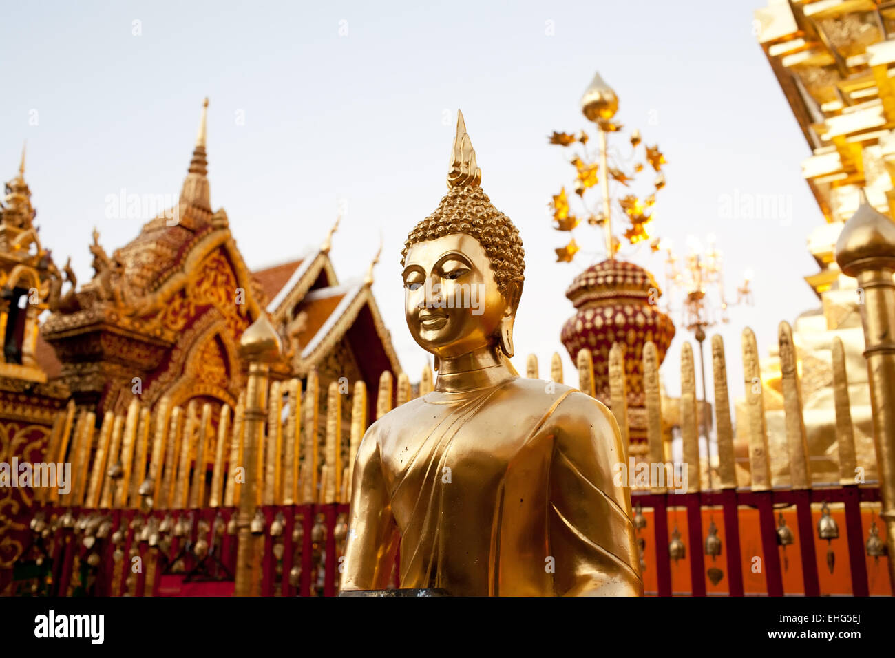 Buddha golden statue hi-res stock photography and images - Alamy